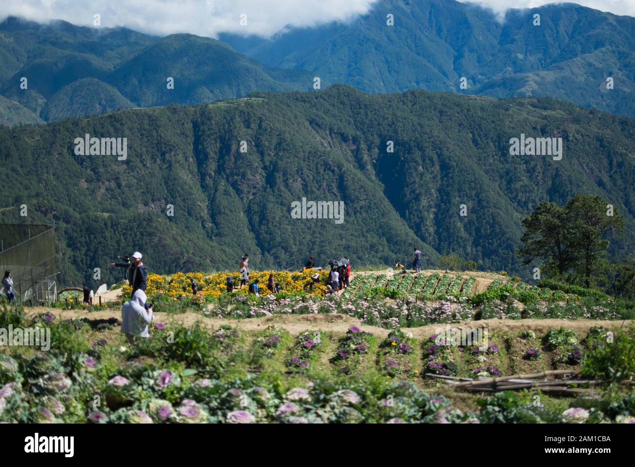 Benguet hi-res stock photography and images - Alamy