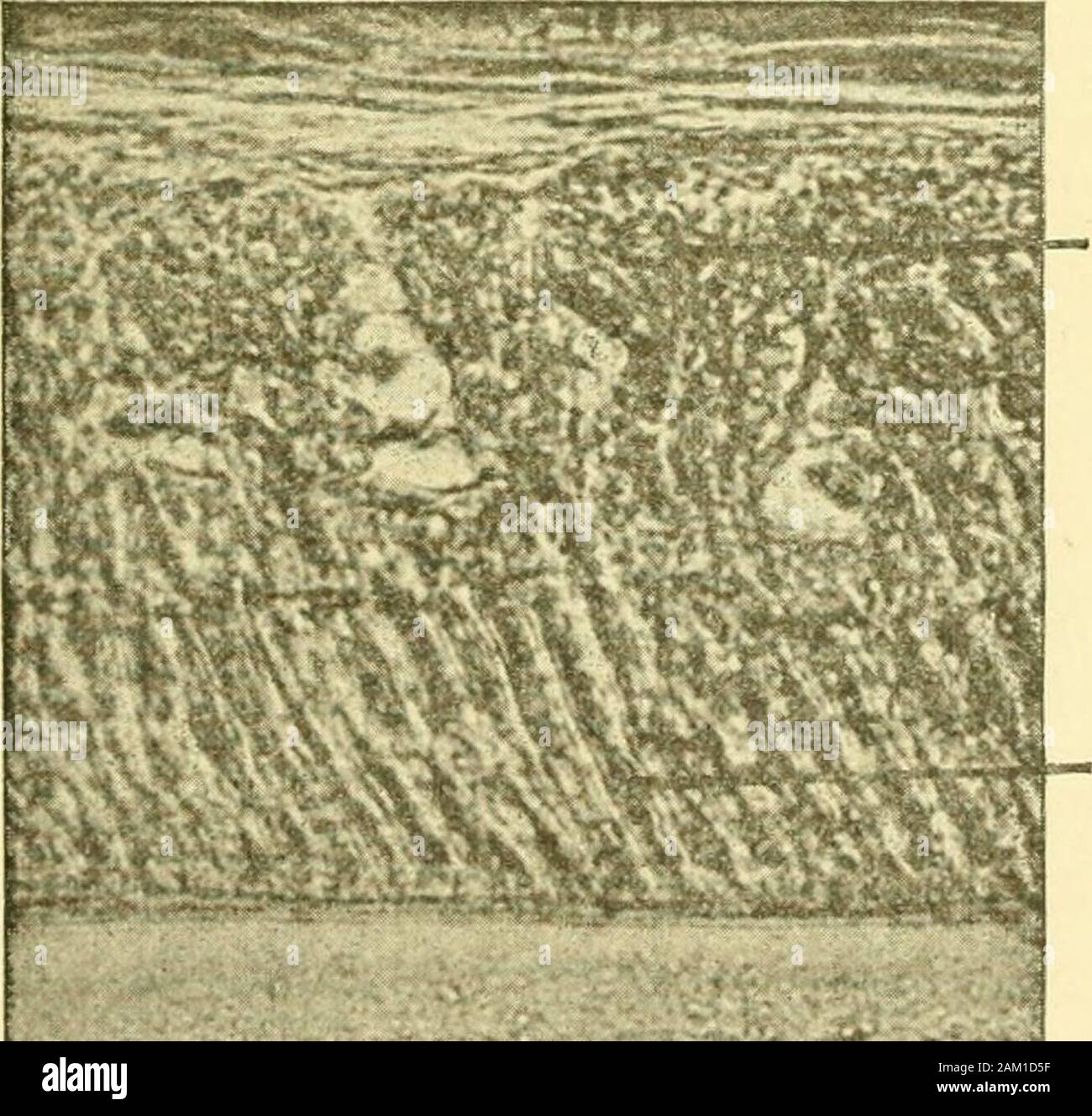 Enamel rods hi-res stock photography and images - Alamy