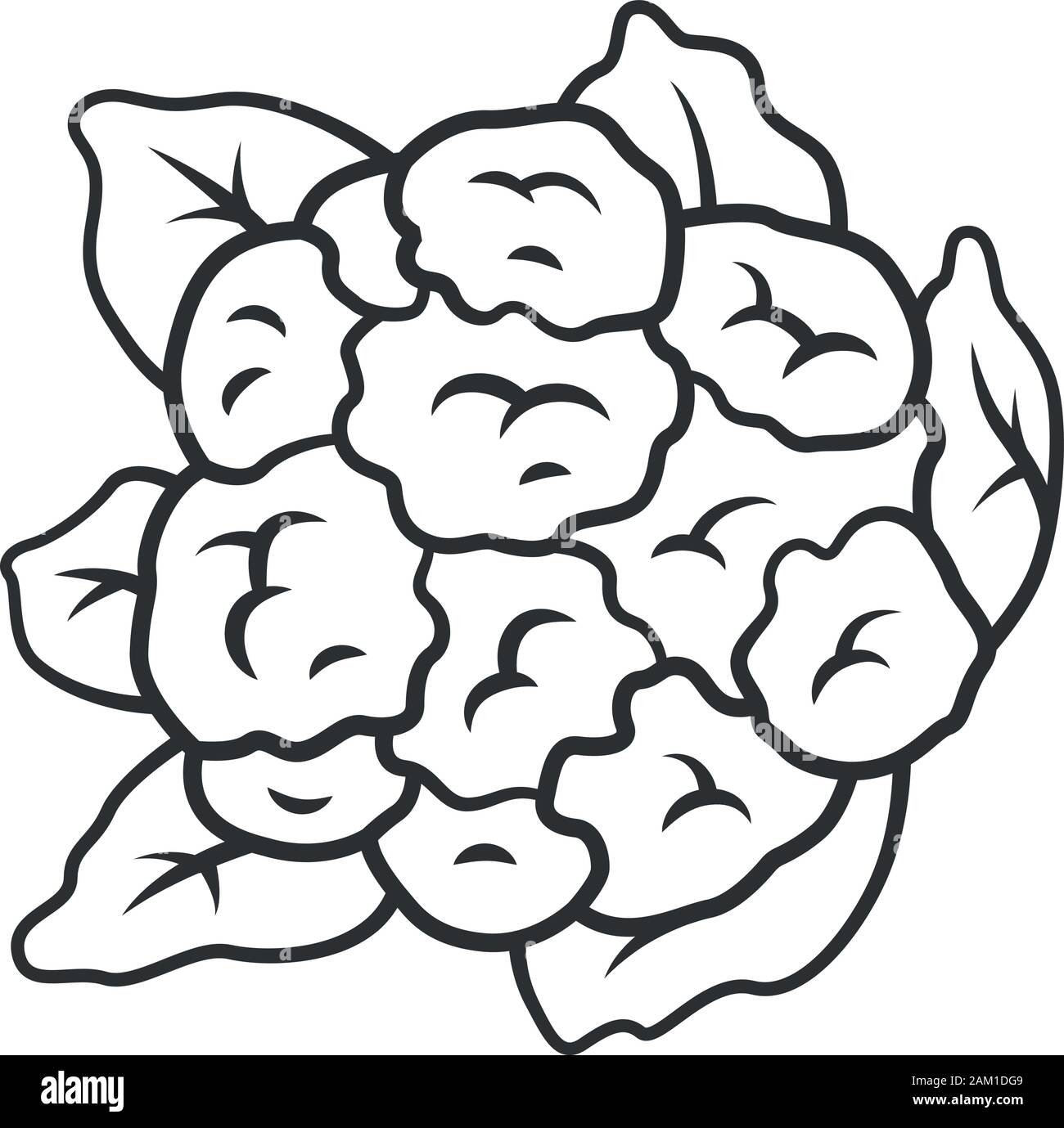 Cauliflower Line Drawing