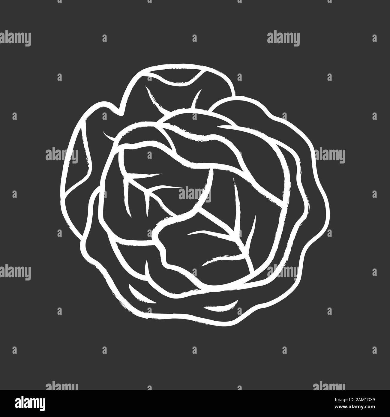Cabbage chalk icon. Vegetable. Agriculture plant. Salad ingredient ...