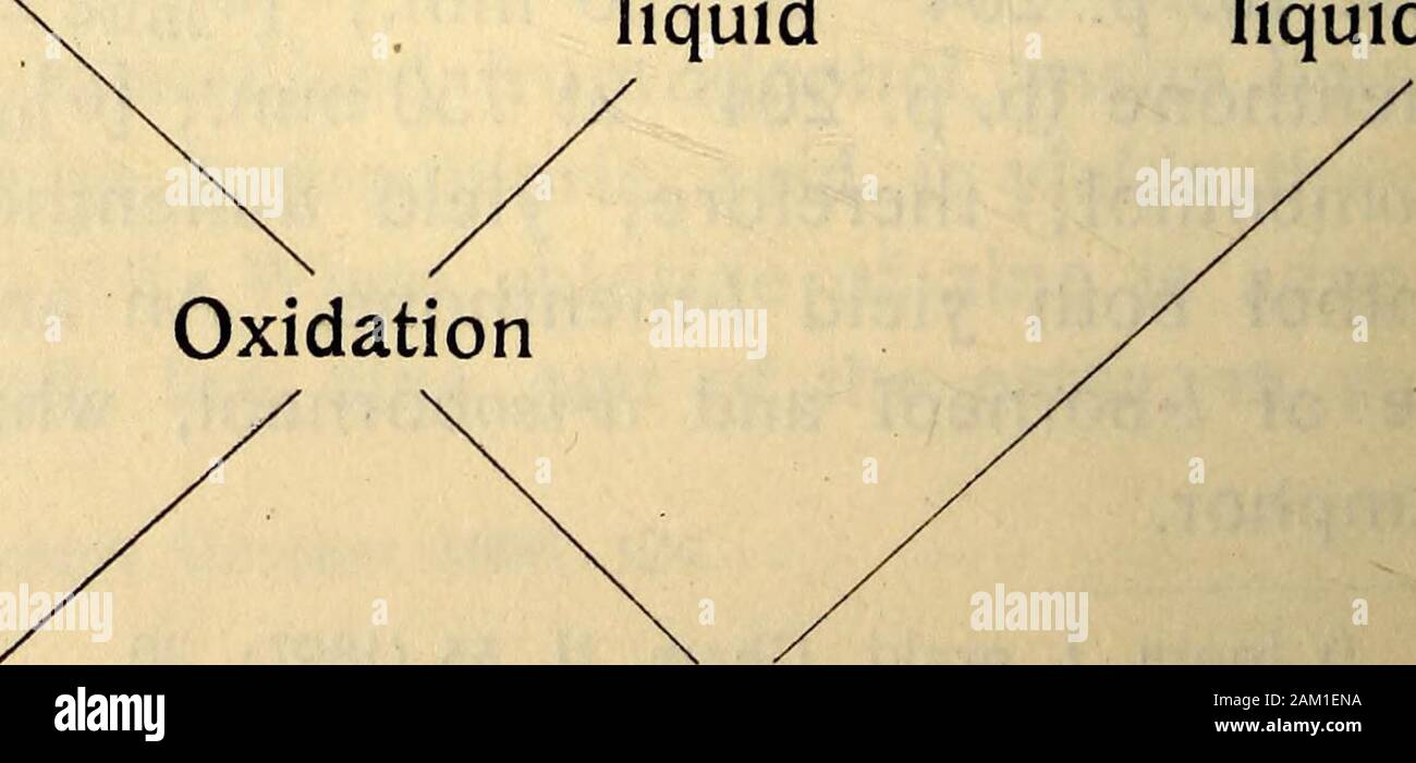 Semi-annual report of Schimmel & Co(Fritzsche Brothers) . t 90°/o). The ...