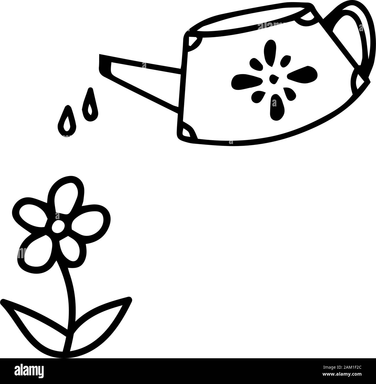 Watering a flower from a watering can with water. Blooming spring ...