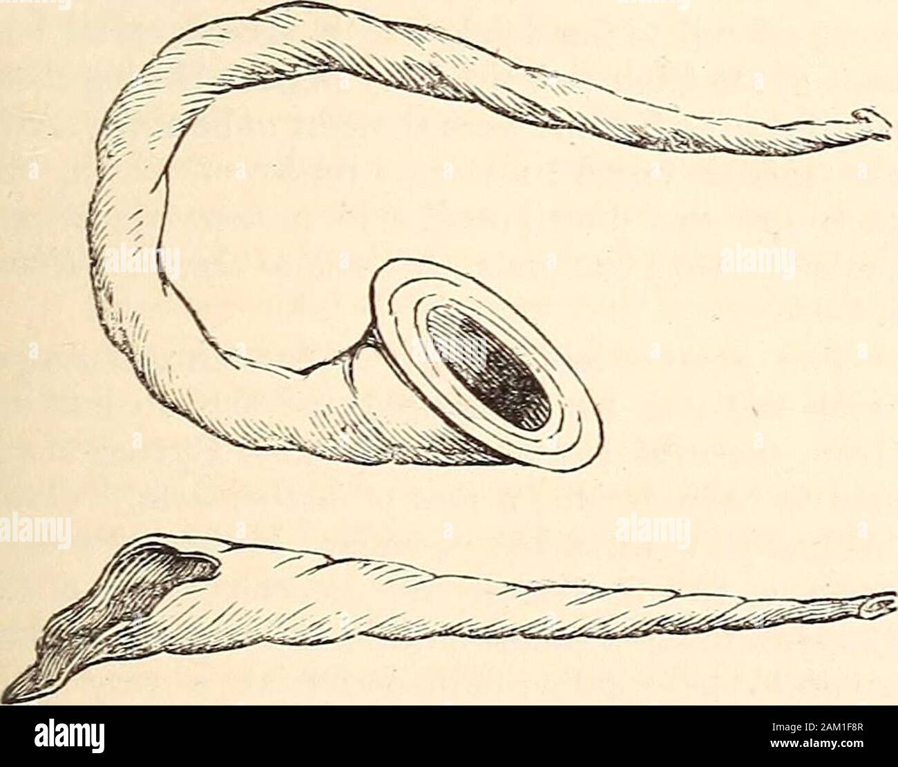 335 shape hi-res stock photography and images - Alamy