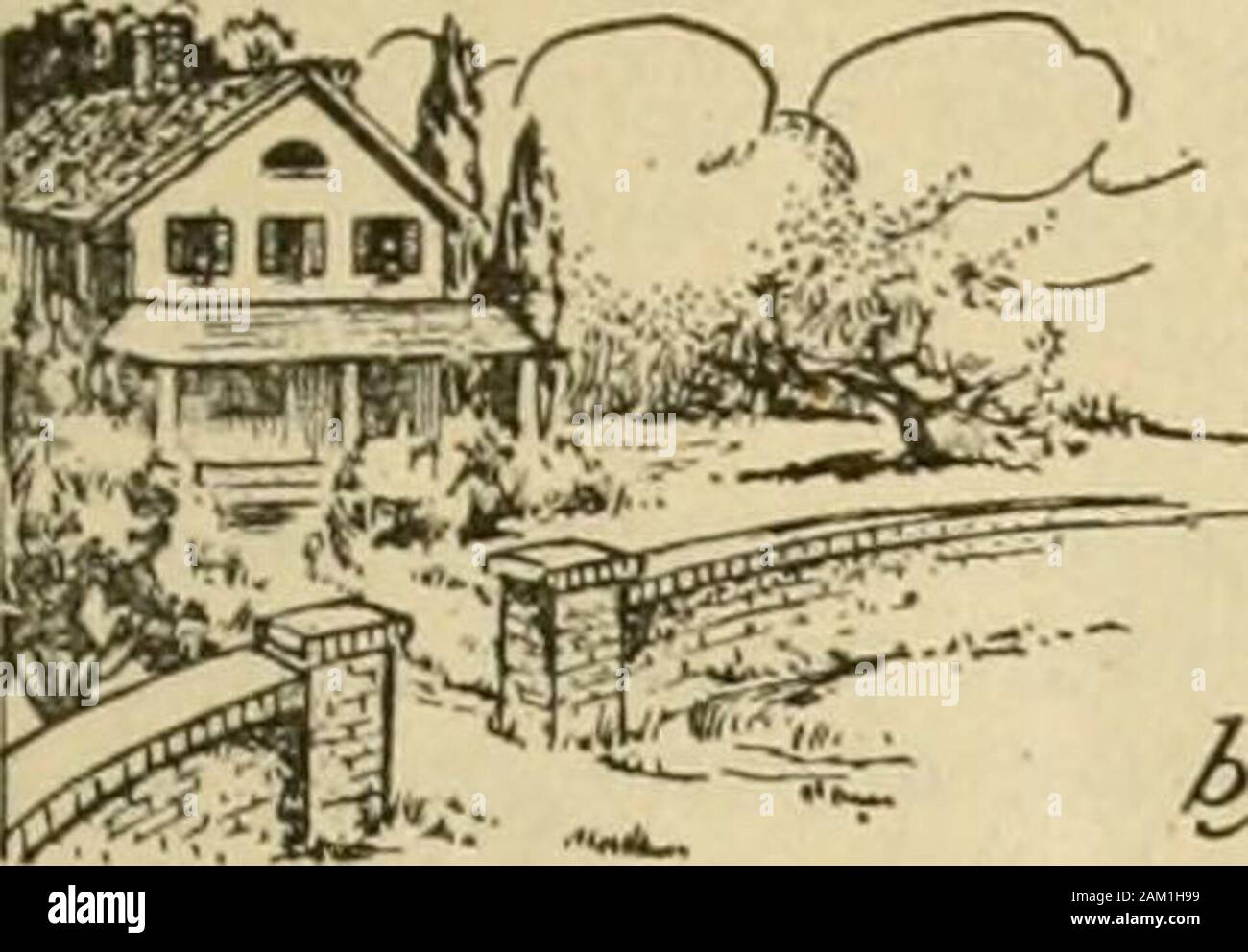 Driven Bees High Resolution Stock Photography and Images - Alamy