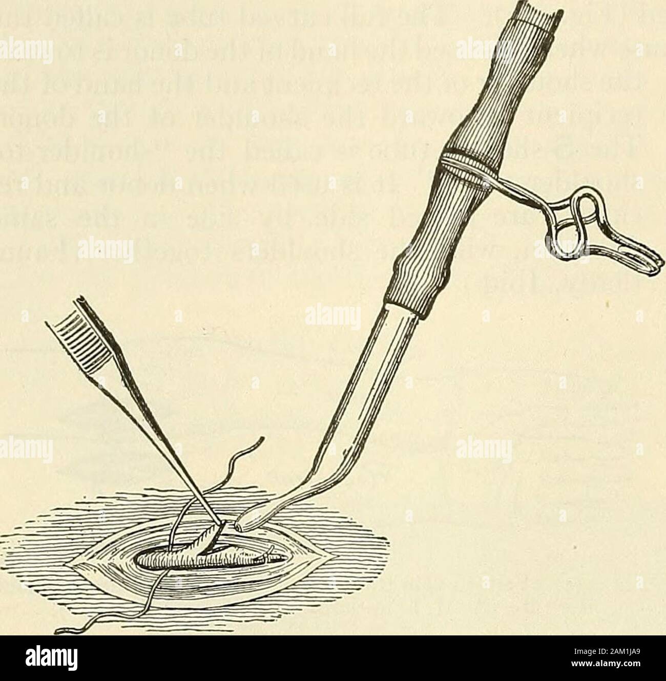 Simple appara tus hi-res stock photography and images - Alamy