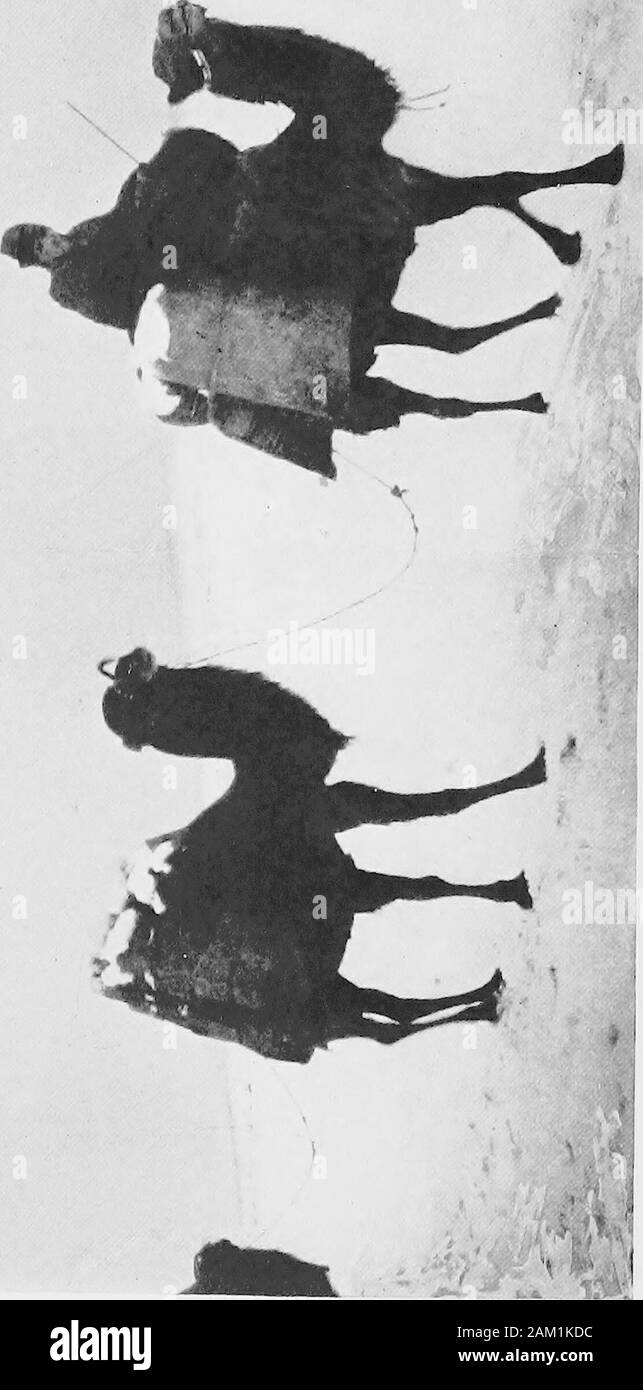 Map of swift current hi-res stock photography and images - Alamy