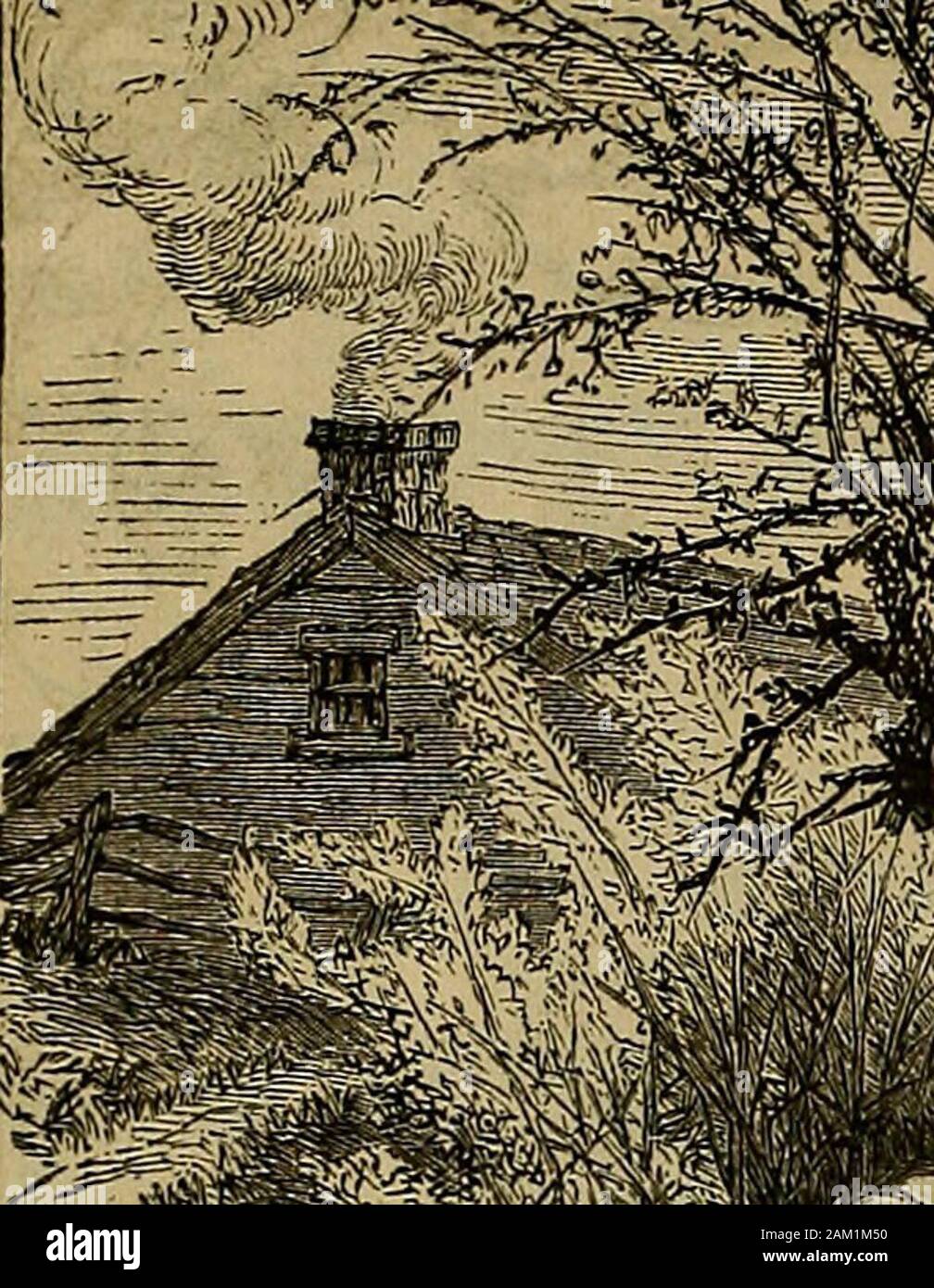 The Norfolk Virginian's annual, for the year 1884 Stock Photo - Alamy