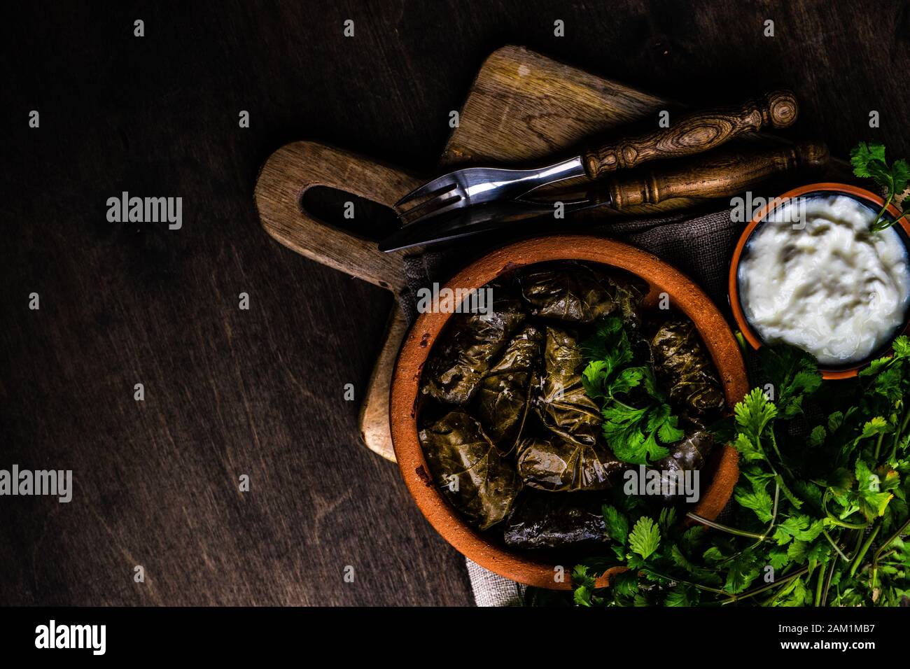 Traditional georgian tolma in vine leaves on rustic background with ...