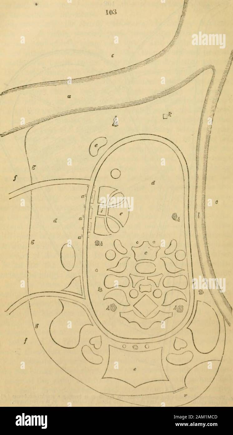 Dung pit hi-res stock photography and images - Alamy