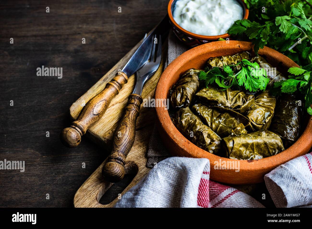 Traditional georgian tolma in vine leaves on rustic background with ...