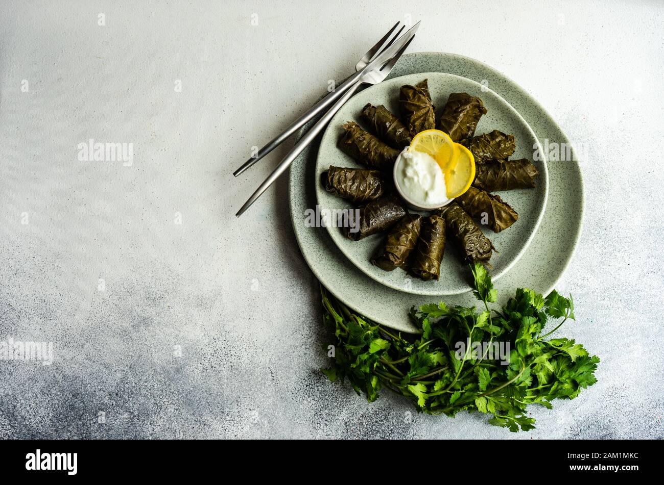 Traditional georgian tolma in vine leaves on rustic background with ...