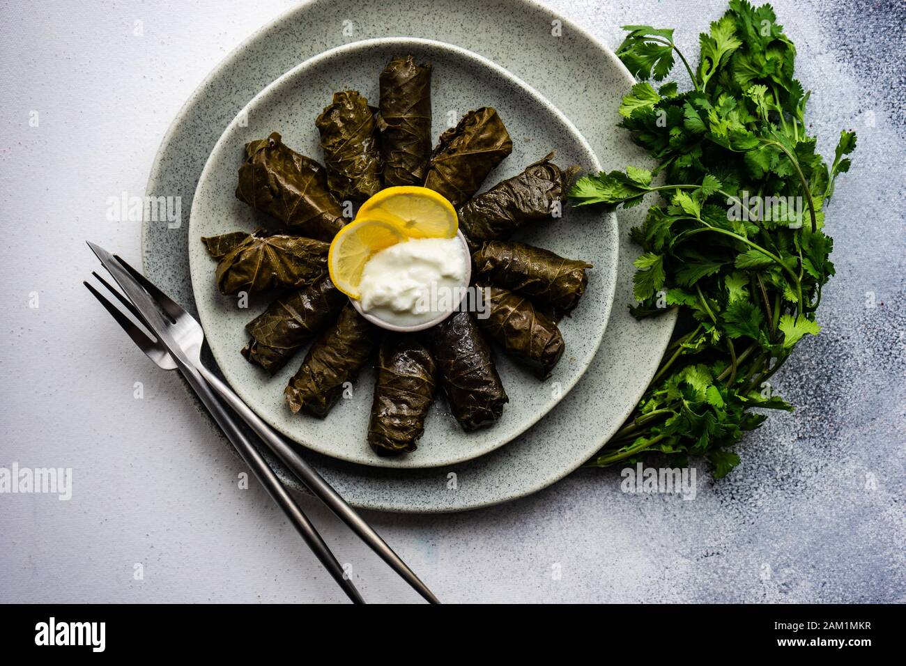Traditional georgian tolma in vine leaves on rustic background with ...