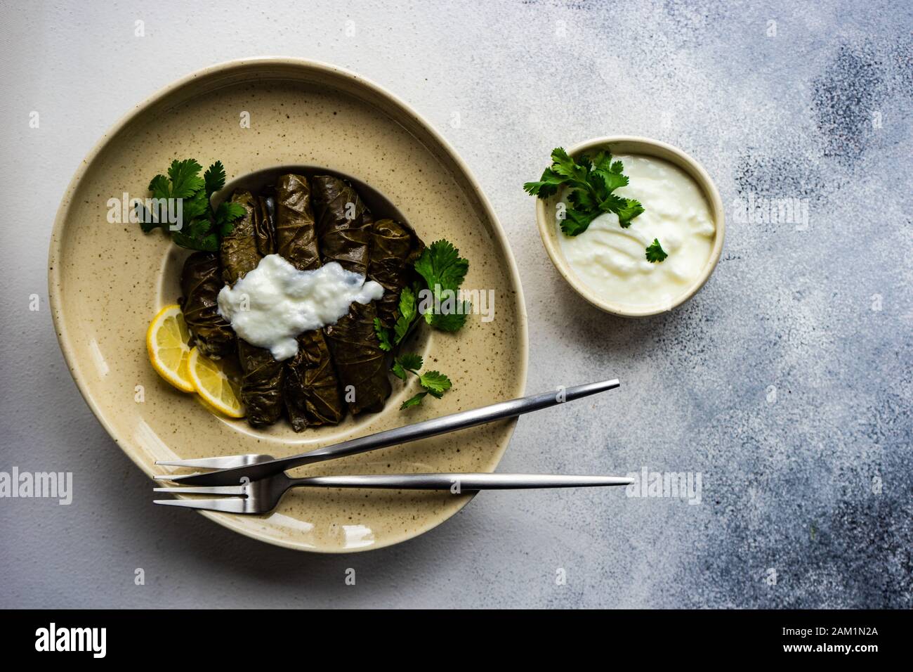 Traditional georgian tolma in vine leaves on rustic background with ...