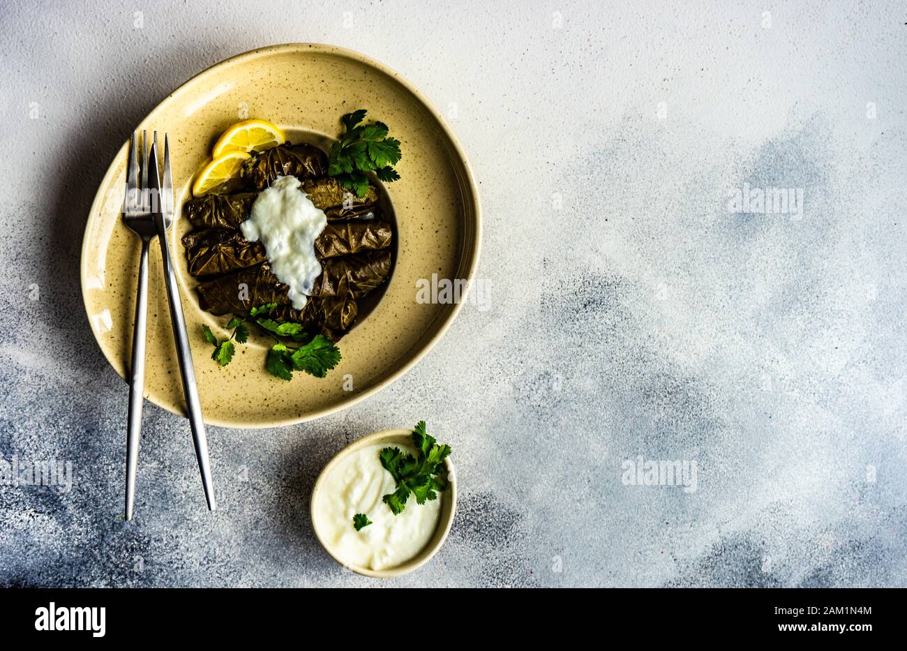 Traditional georgian tolma in vine leaves on rustic background with ...