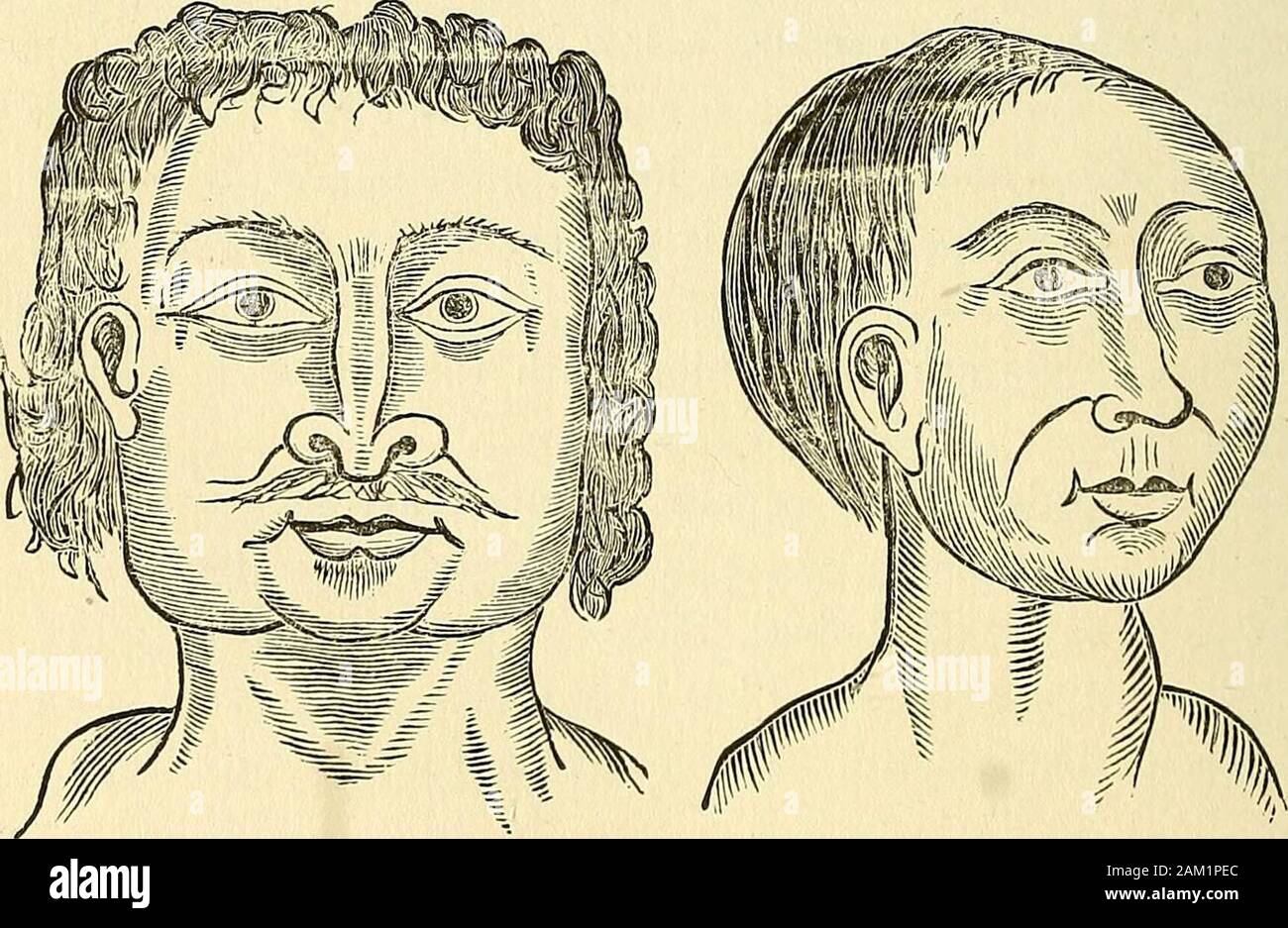 Nature's revelations of character; or, physiognomy illustratedA ...
