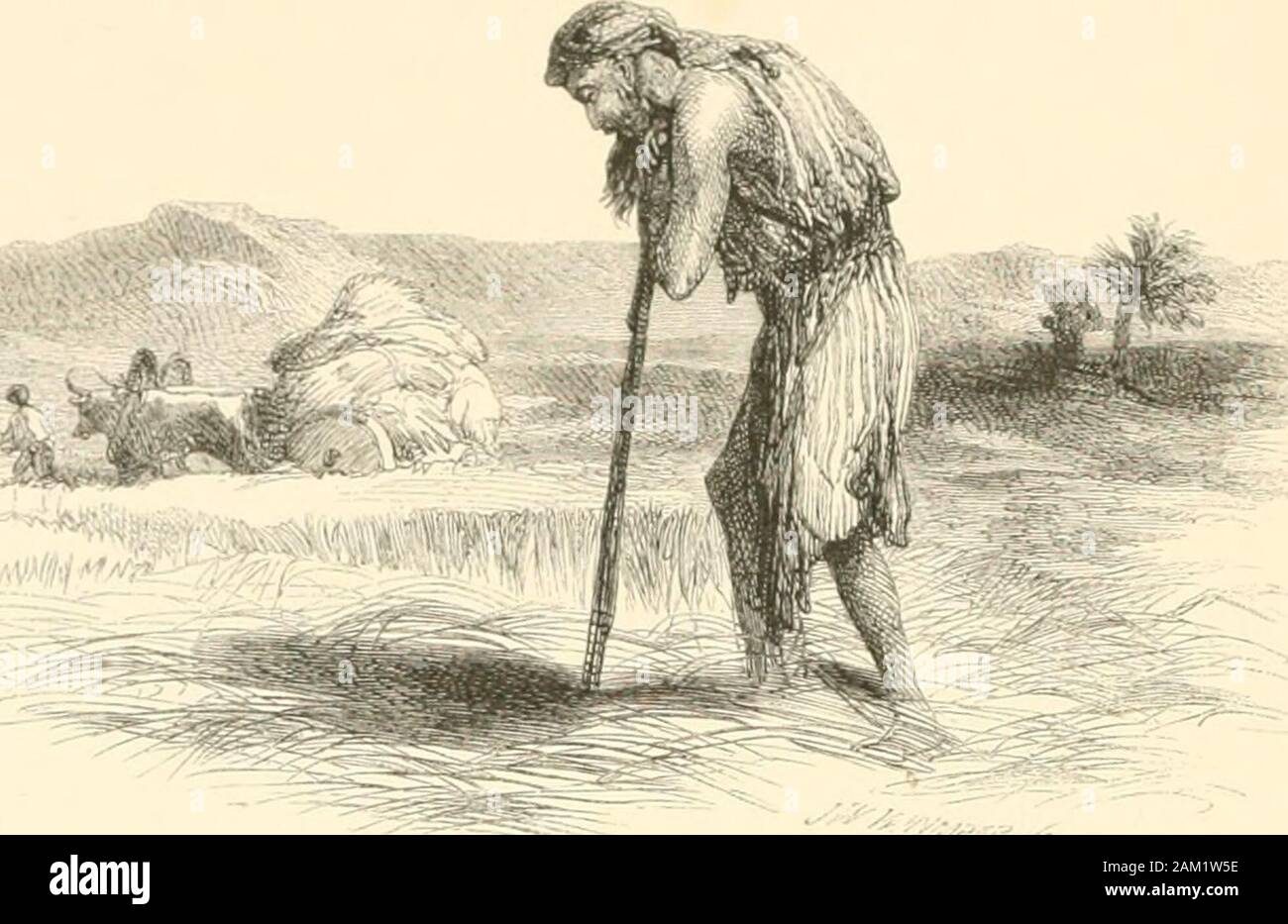 The book of Job . 34 THE BOOK OF JOD.. As a servant earnestly desireth ...