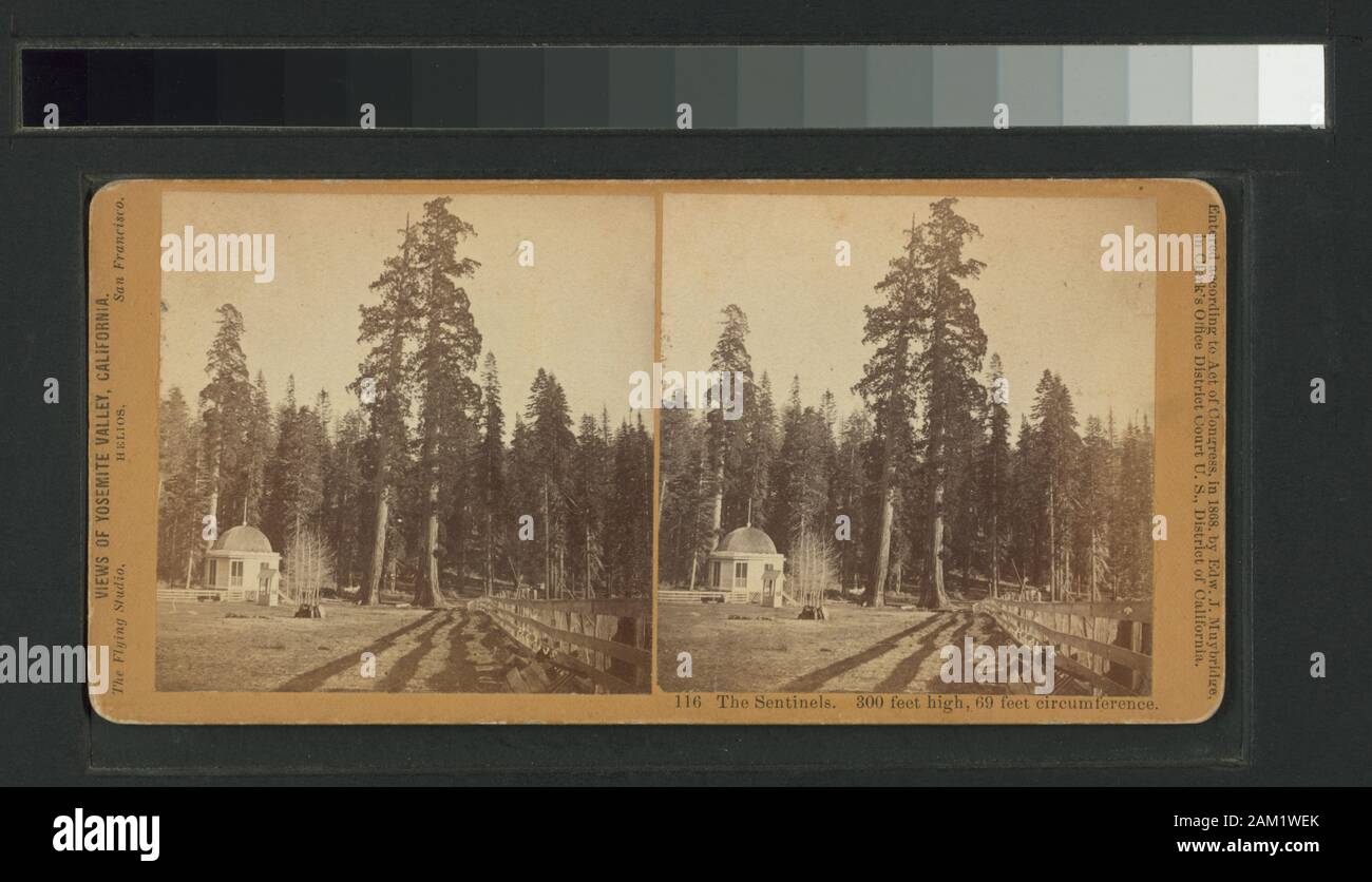 69 feet circumference hi-res stock photography and images - Alamy