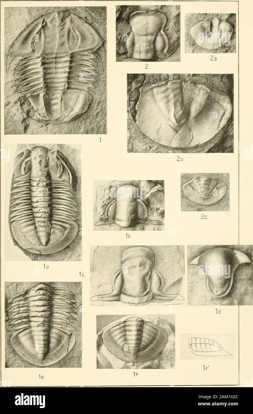 Le mount stephen hi-res stock photography and images - Alamy