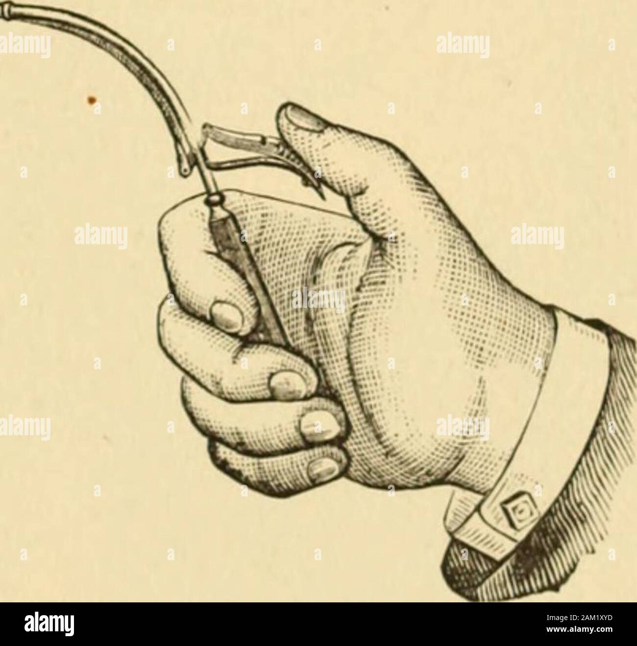 Rhinoscopy hi-res stock photography and images - Alamy