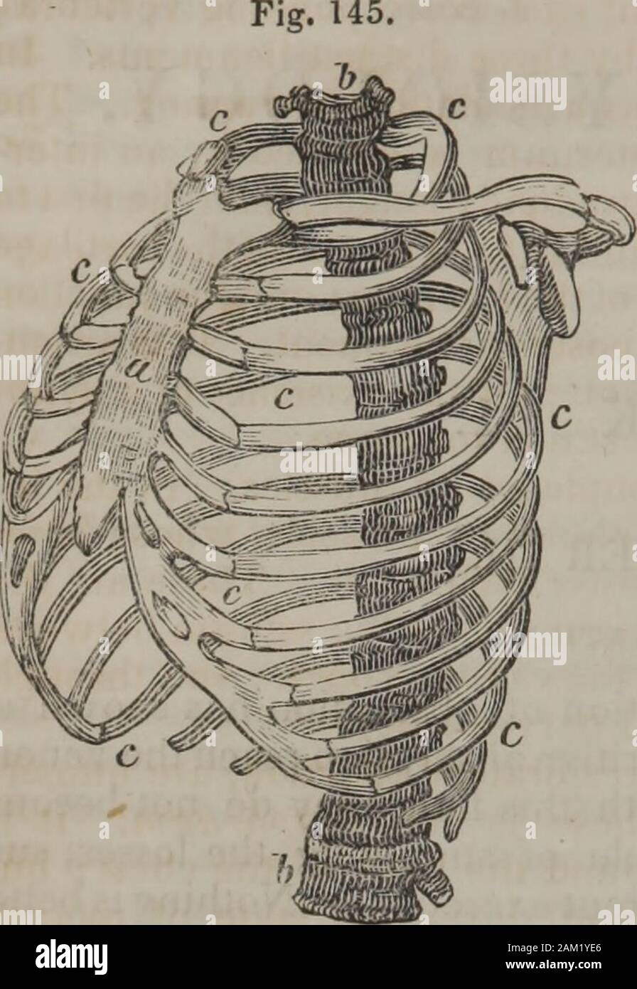 Beingformed hi-res stock photography and images - Alamy