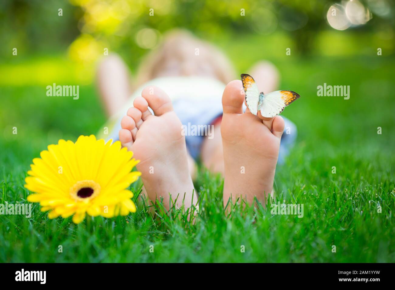 spring nature forest sprout Stock Photo - Alamy