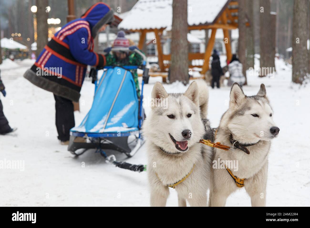 Kid sledding with dog hi-res stock photography and images - Alamy