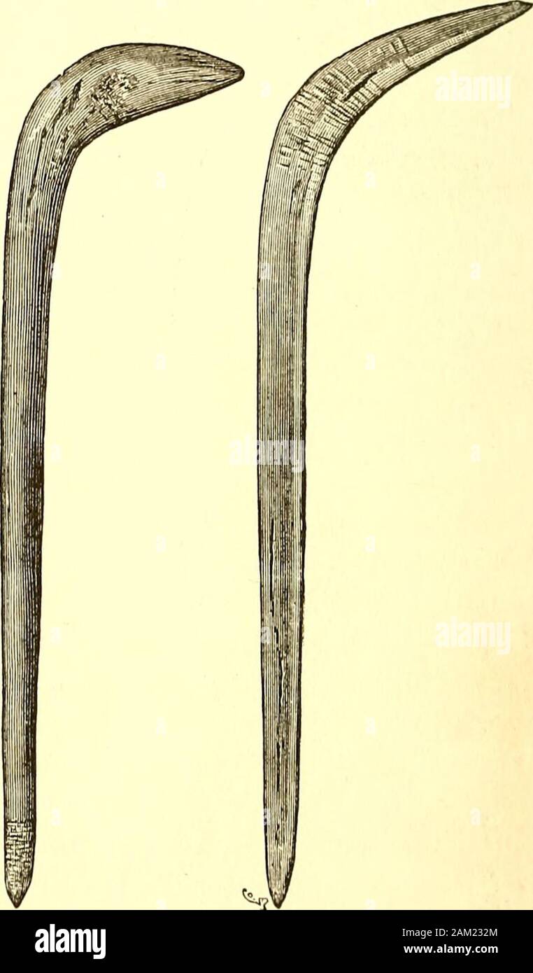 Greenstone weapon hi-res stock photography and images - Alamy