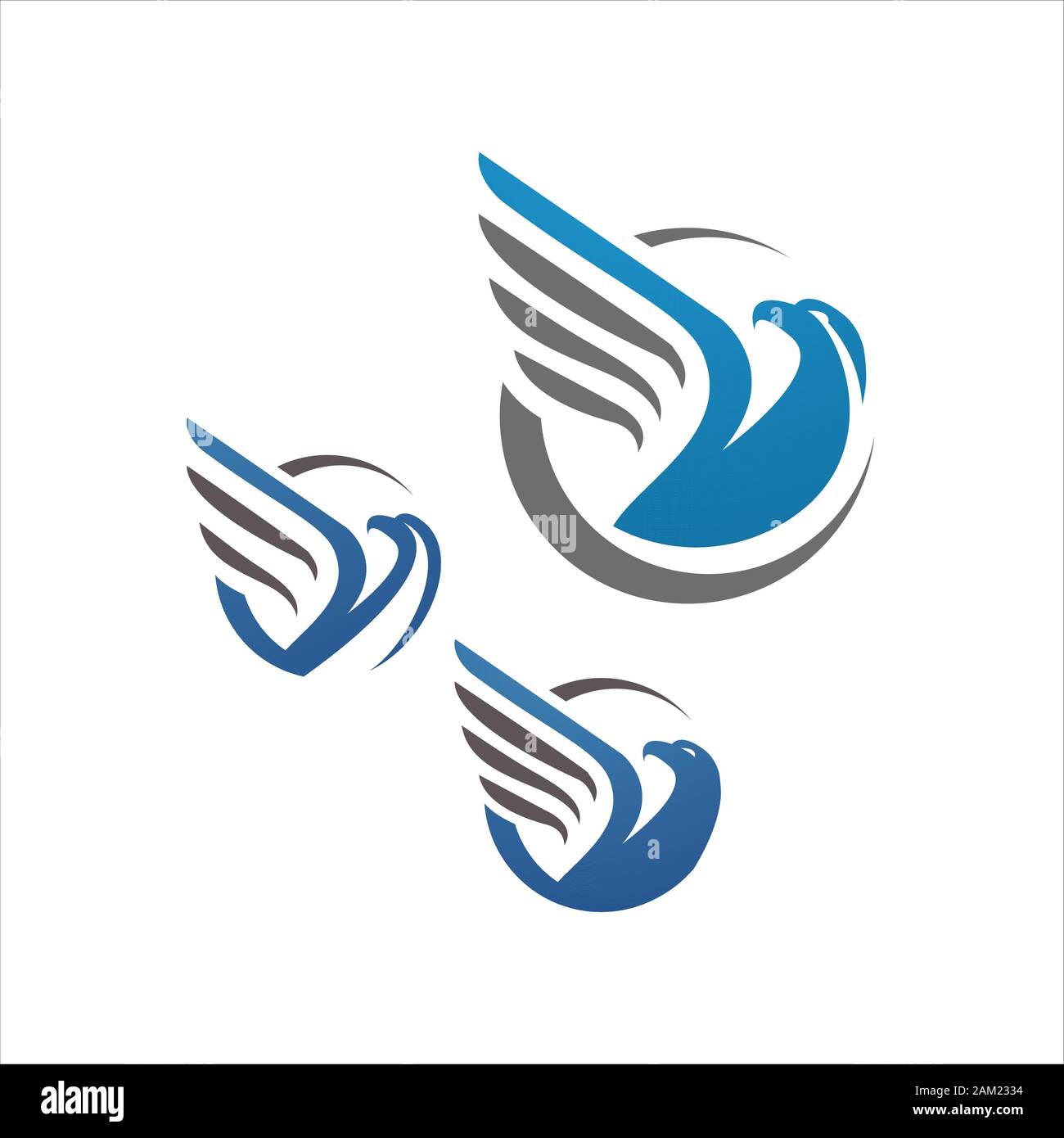 Blue Hawk Logo