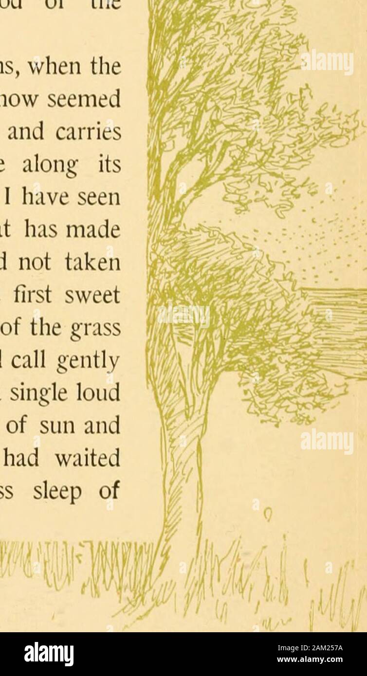 Liad hi-res stock photography and images - Alamy