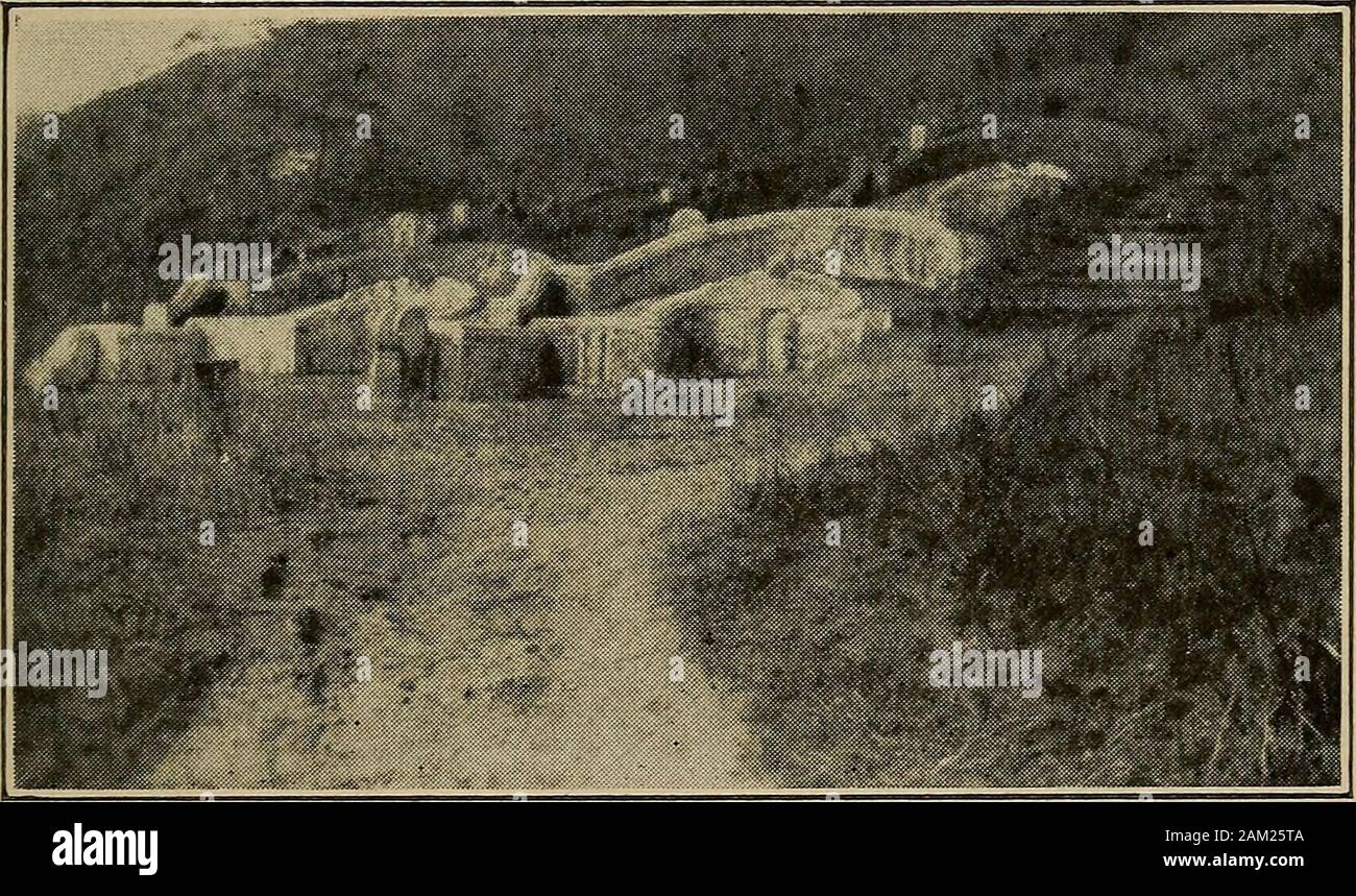 Seclusion ward hi-res stock photography and images - Alamy