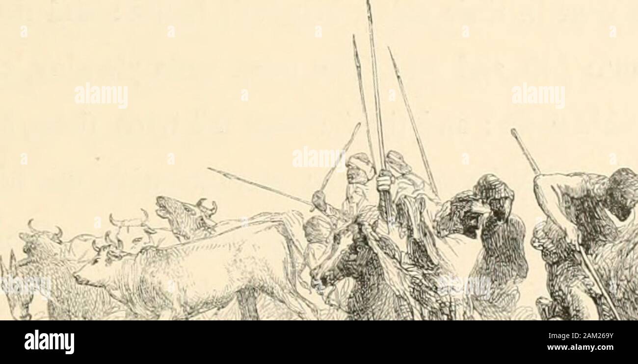 Book of job satan hi-res stock photography and images - Alamy