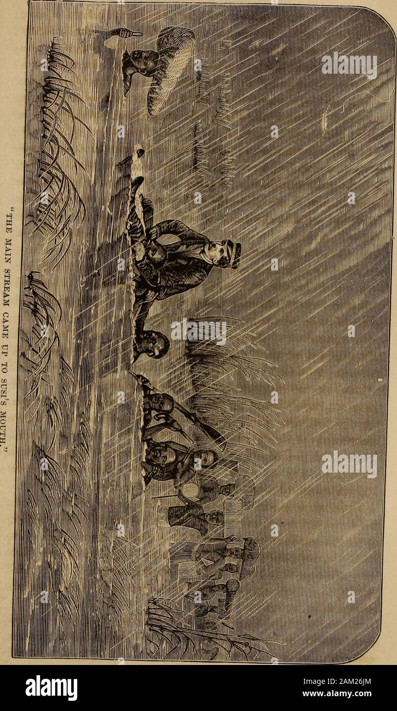 Guide for correct marching hi-res stock photography and images - Alamy