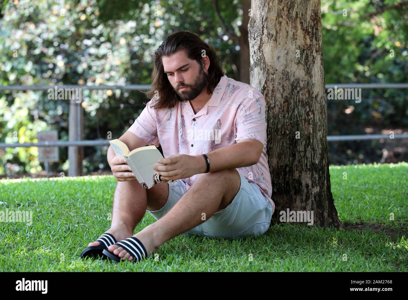 Youngman reading a book in a park, relaxing outside learning, study ...