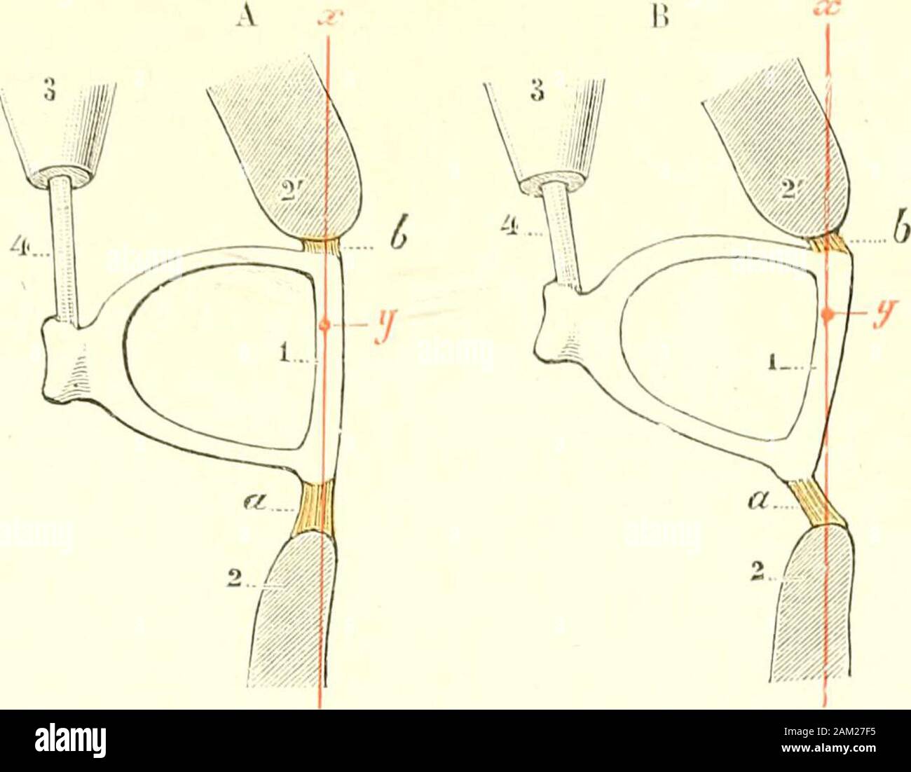 Labyrinthique hi-res stock photography and images - Alamy