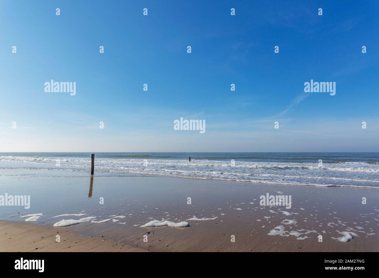 Timber piles hi-res stock photography and images - Alamy