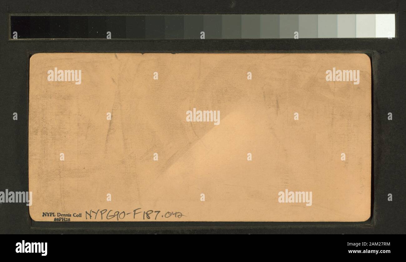 The follage mountain under the Crystal Dome of the Horticultural ...