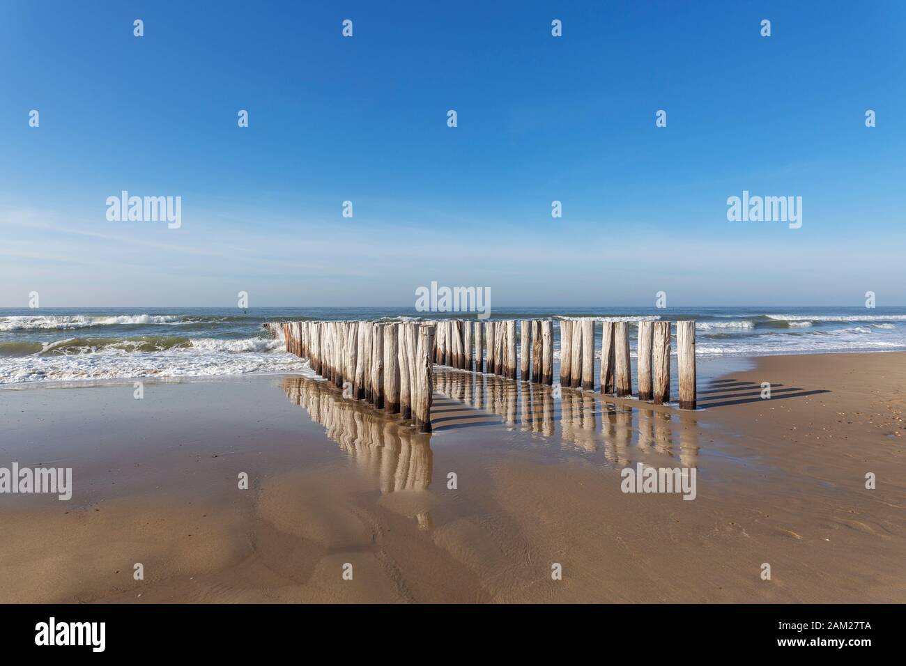 Timber piles hi-res stock photography and images - Alamy