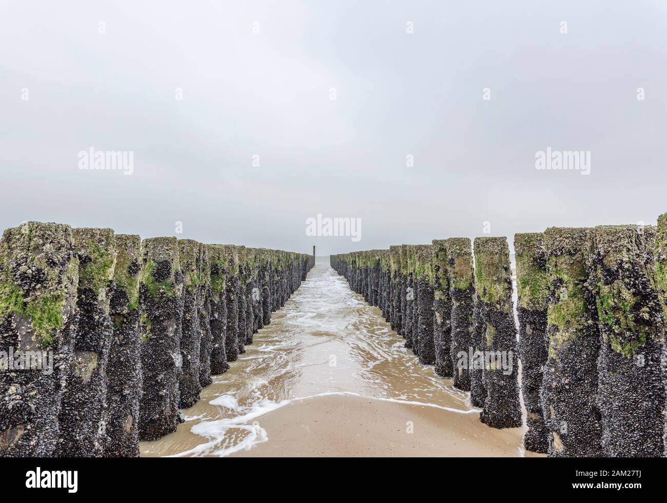 Timber piles hi-res stock photography and images - Alamy