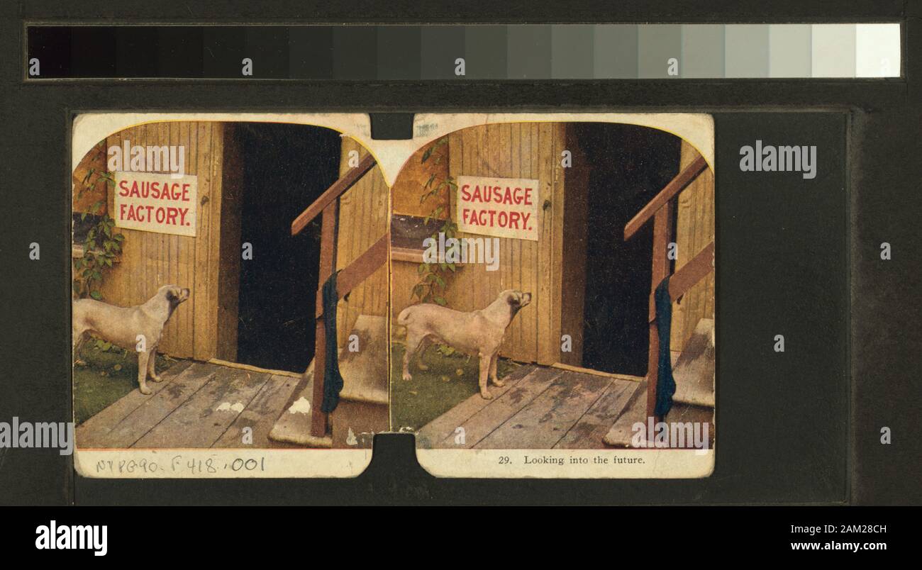 The gates ajar Floral design in Como park, St Paul, Minn The gates ajar ...