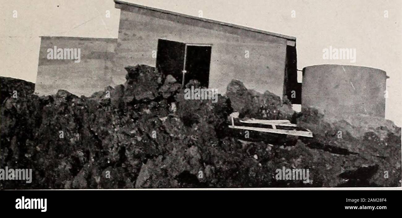 Hy-rib and metal lath for concrete, stucco and plaster in roofs, floors ...