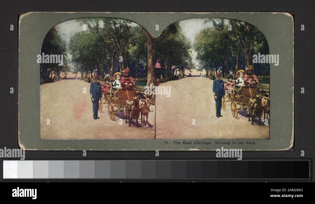 Man carriage driving livery hi-res stock photography and images - Alamy