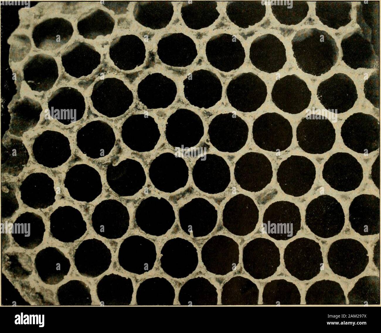 Ful polygon hi-res stock photography and images - Alamy