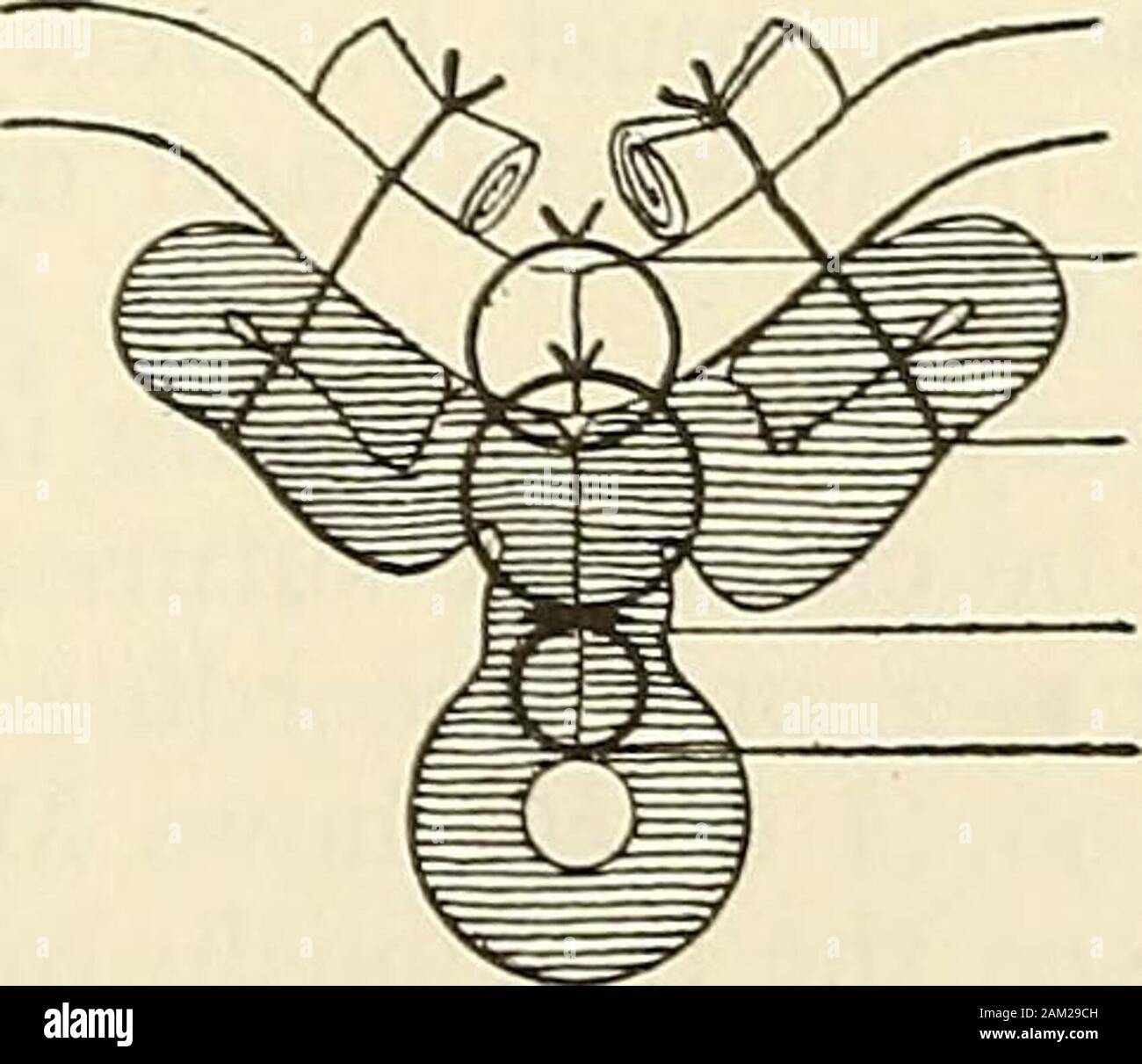 Modern surgery, general and operative . F Stock Photo - Alamy