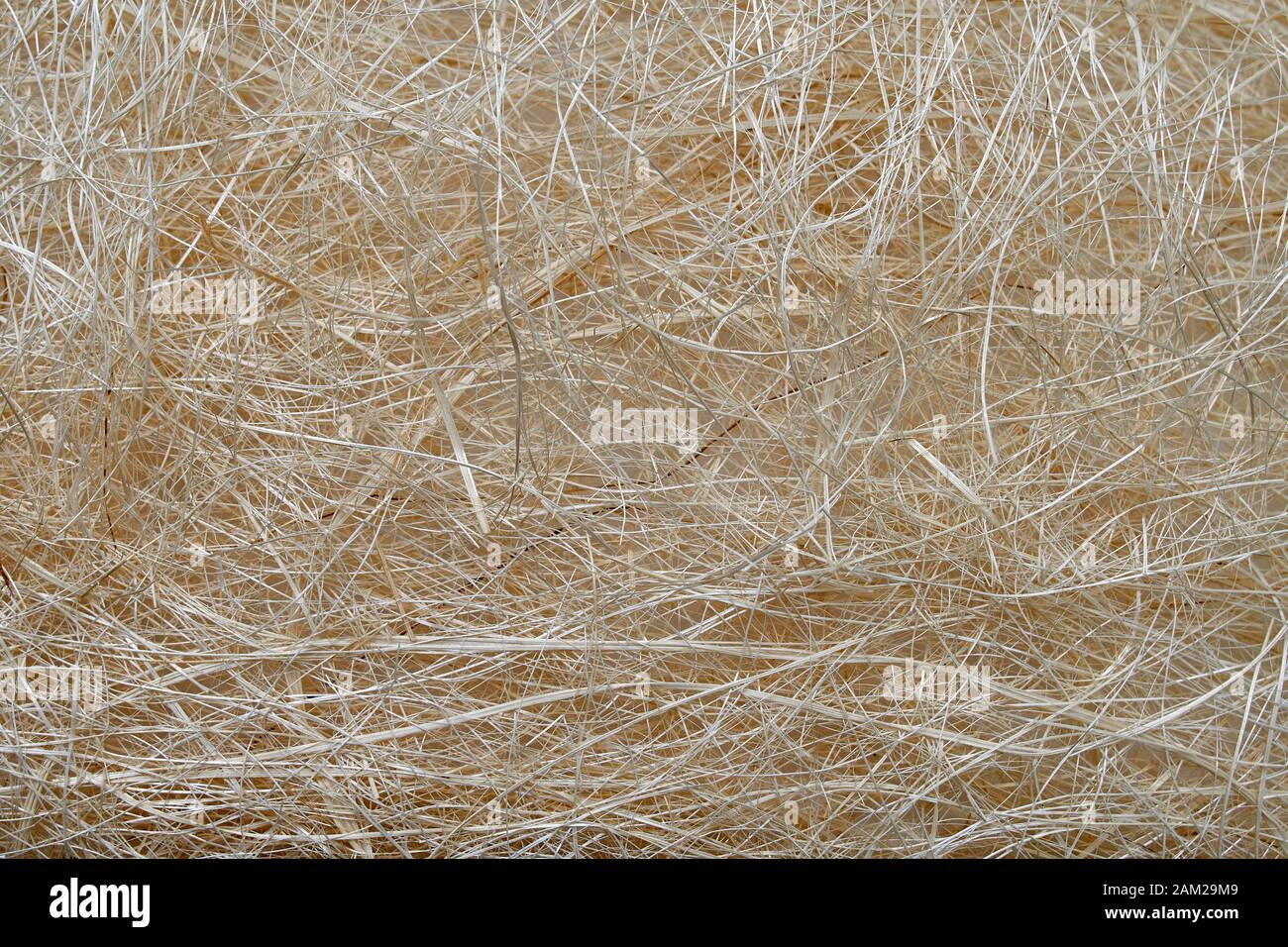 Coconut fiber - a material for making ropes and mattresses Stock Photo ...