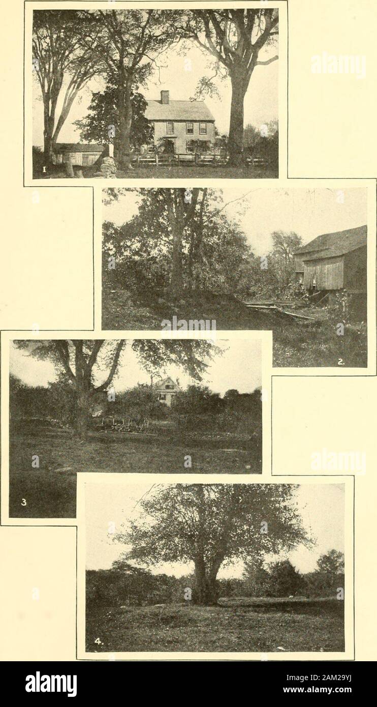 Mass general brigham hi-res stock photography and images - Alamy