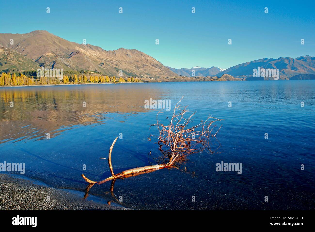 Lake Wanaka South Island New Zealand Stock Photo - Alamy