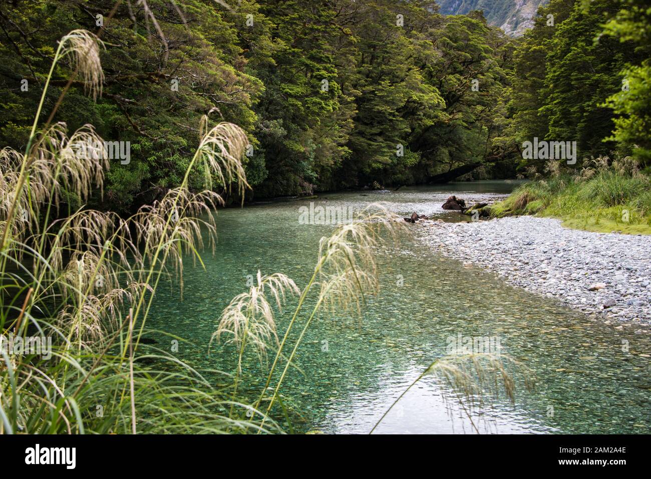 Clinton River in Milford Track, Fiordland National Park, New Zealand ...