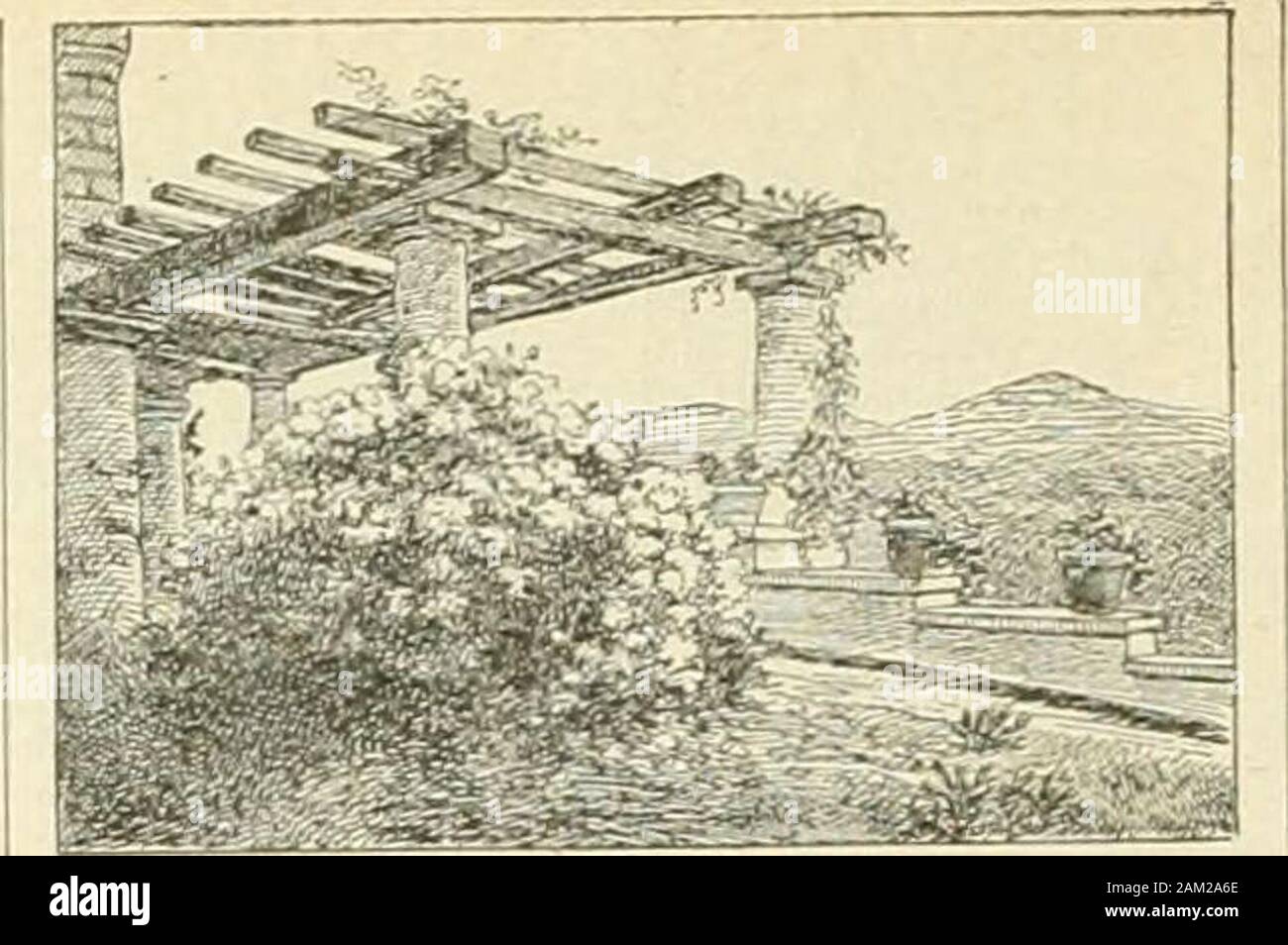 Cheval de course hi-res stock photography and images - Alamy