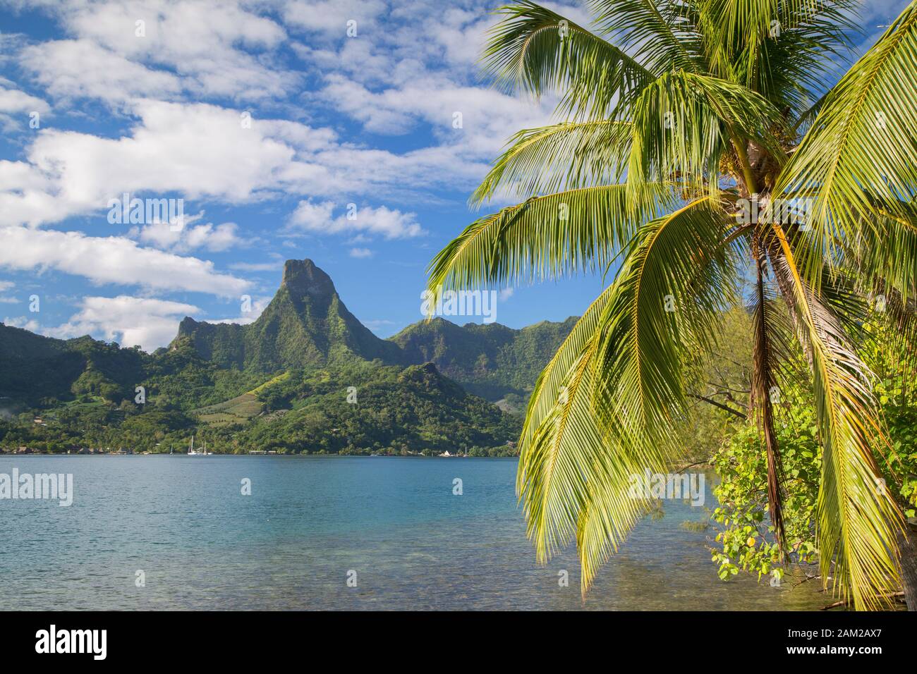 Cook’s bay moorea hi-res stock photography and images - Alamy