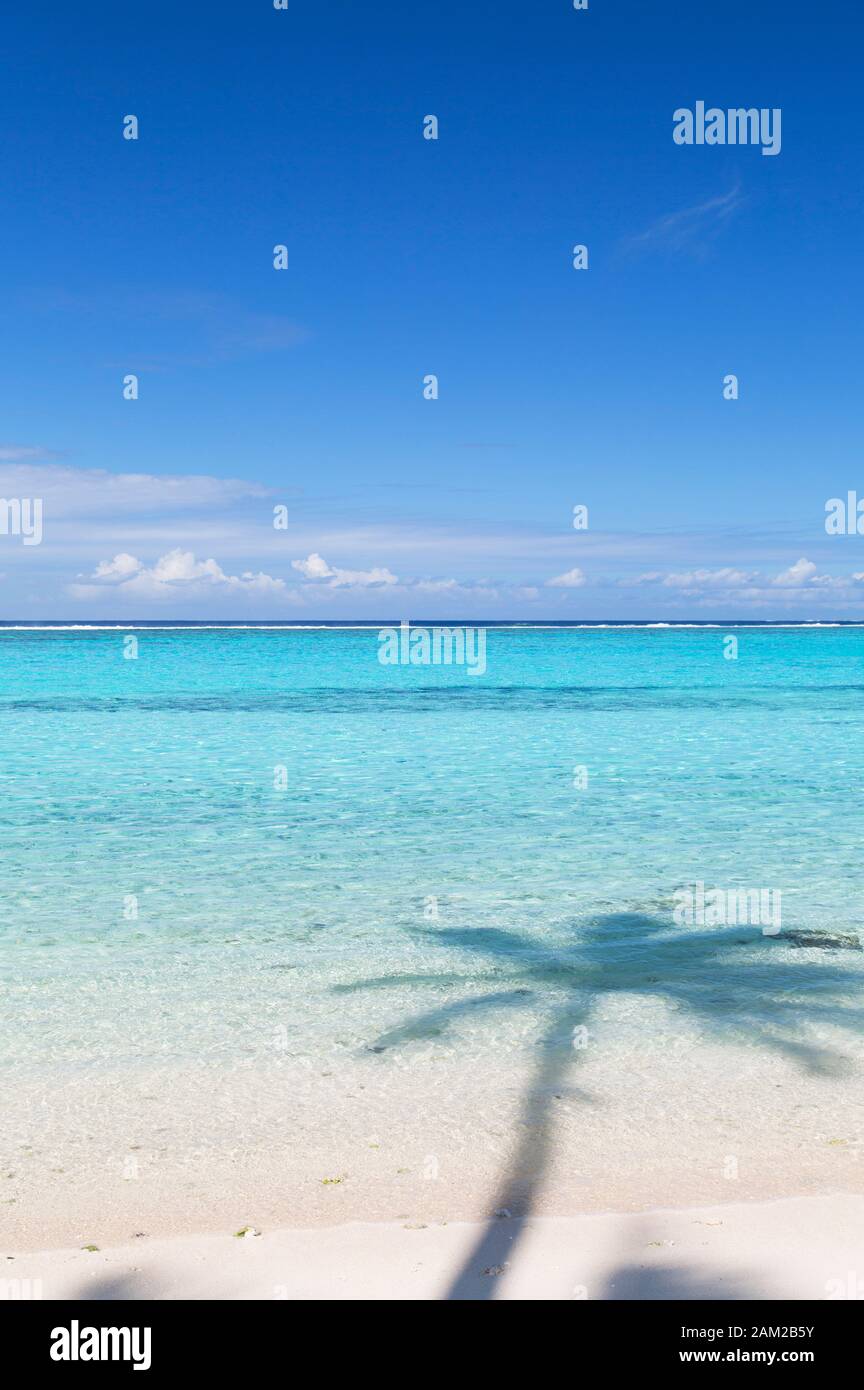 Temae Beach, Moorea, Society Islands, French Polynesia Stock Photo - Alamy